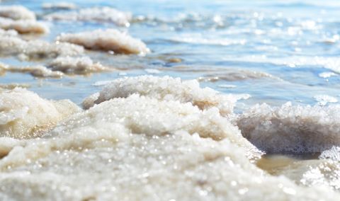 Environmental Management | Interhides public company limited (IHL)